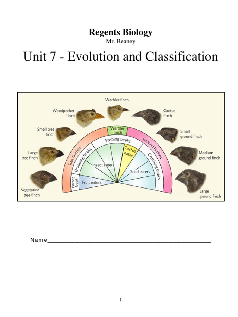 2018 Evolution Packet | PDF | Evolution | Reproduction