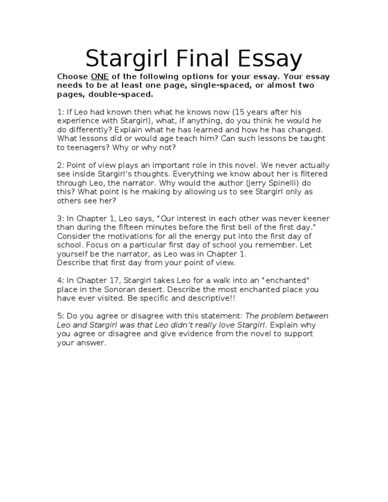 Stargirl Final Essay | PDF
