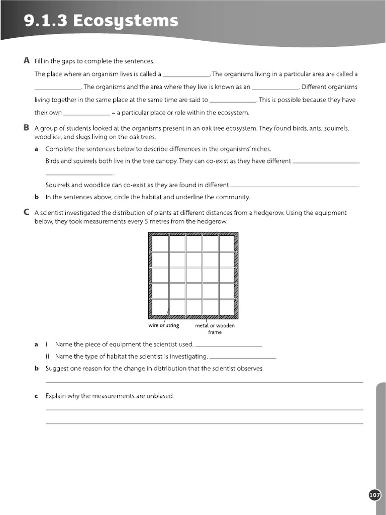 Ecosystems Workbook Page | PDF
