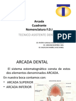 Nomenclatura Dentaria - El Código Internacional (FDI) | PDF | Diente ...