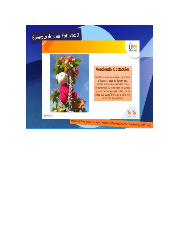 Ejemplo de Foto Voz | PDF