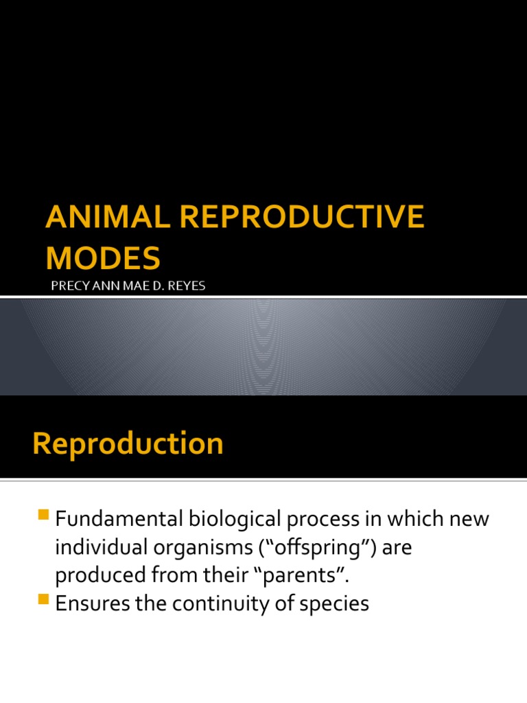 Animal Reproductive Modes | PDF | Sexual Reproduction | Reproduction