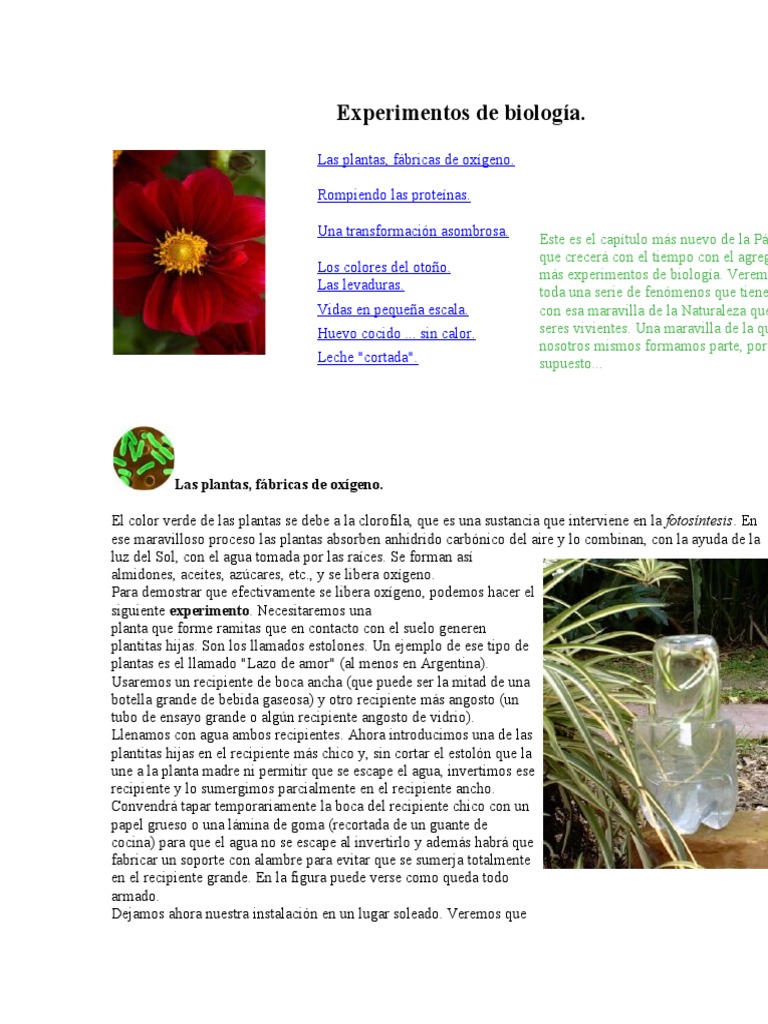 Experimentos de Biología | PDF | Proteínas | Desnaturalización (bioquímica)