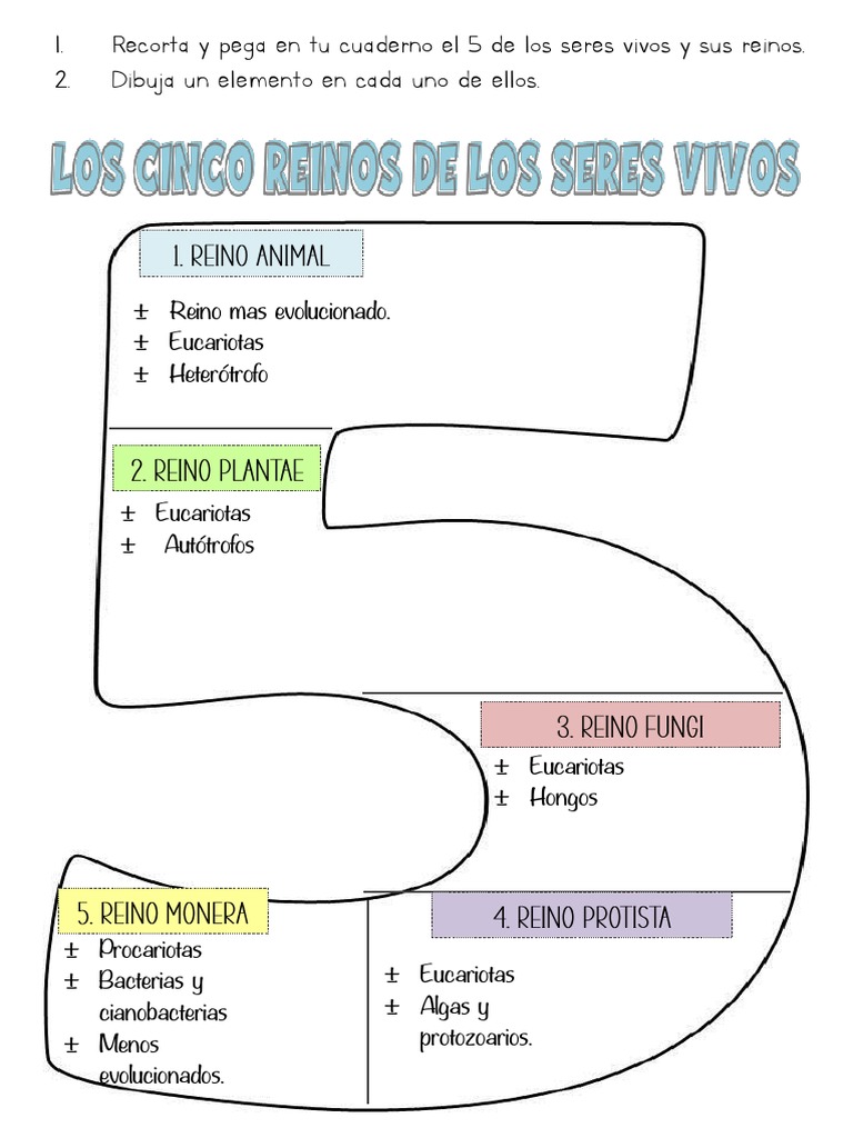 Fichas de los 5 Reinos para Primaria | PDF | Hogar, jardinería y ...