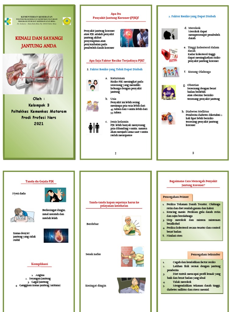 Leaflet PJK Kelompok 3 | PDF