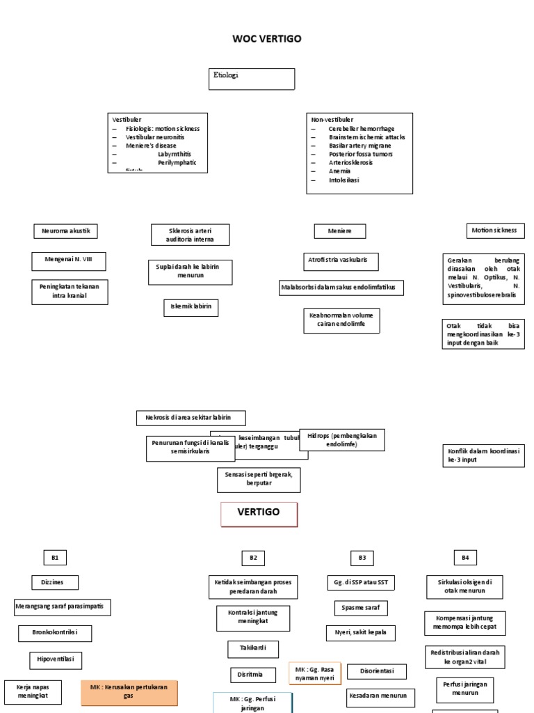 Pathway Vertigo D | PDF