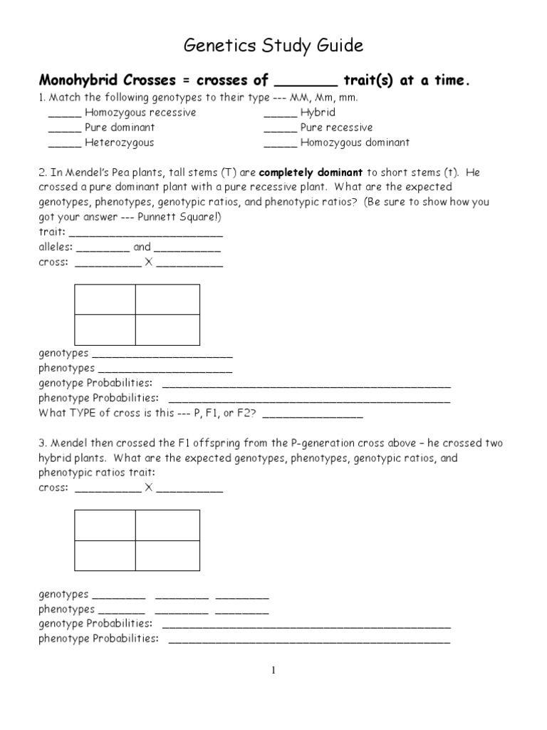 Biology Genetics Study Guide | PDF | Dominance (Genetics) | Genotype