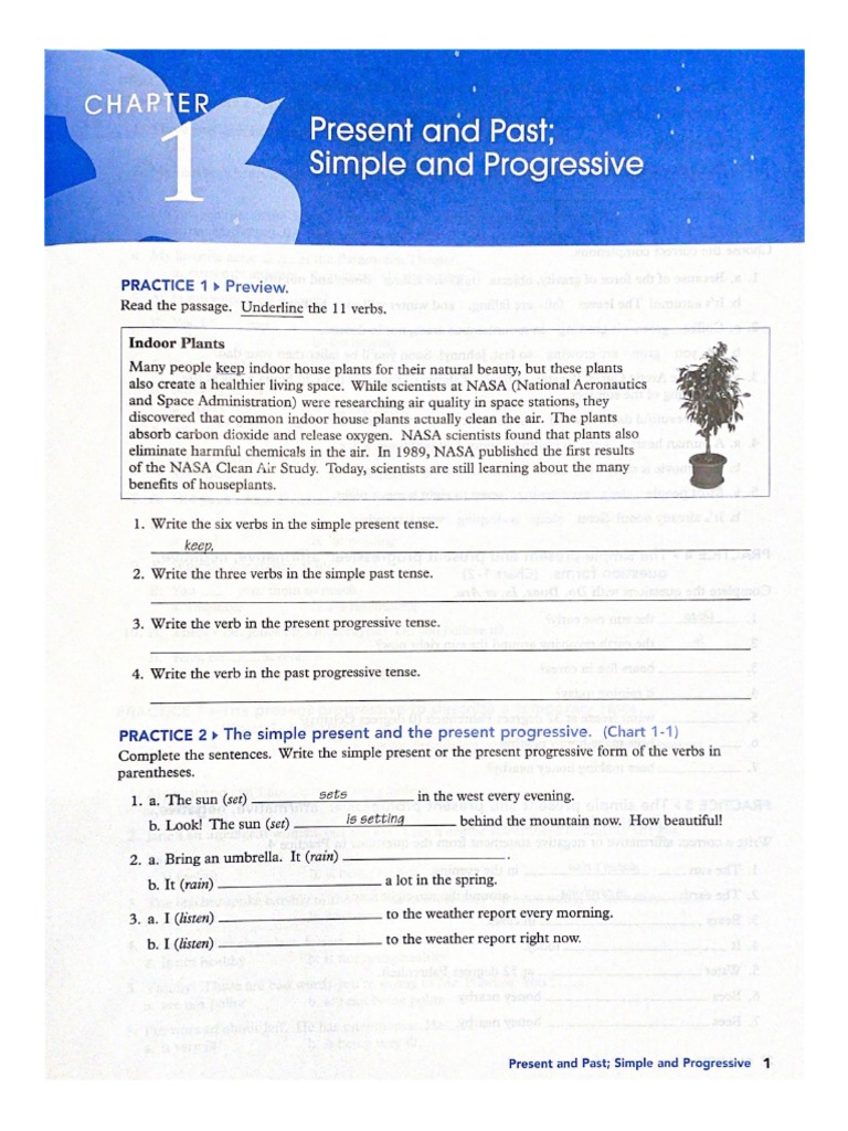 Chapter 1. Grammar WB | PDF