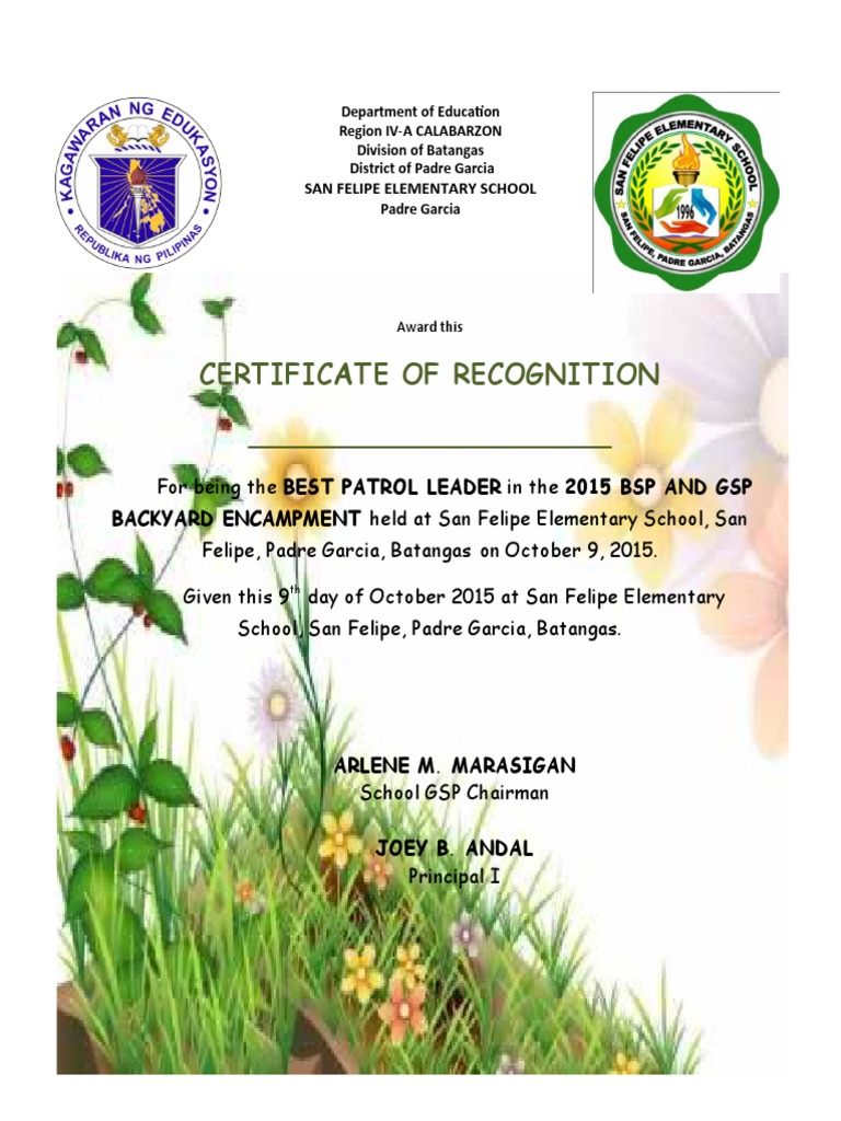 BACKYARD GSP CERTIFICATE-patrol Leader | PDF