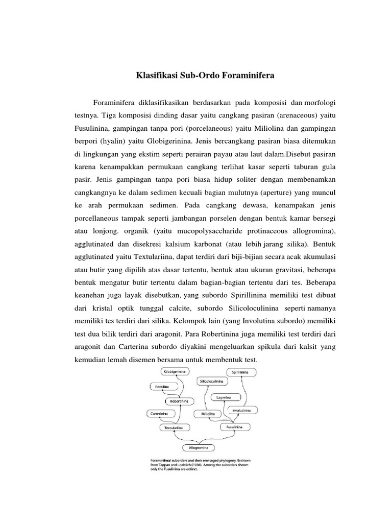 Klasifikasi Subordo Foraminifera | PDF