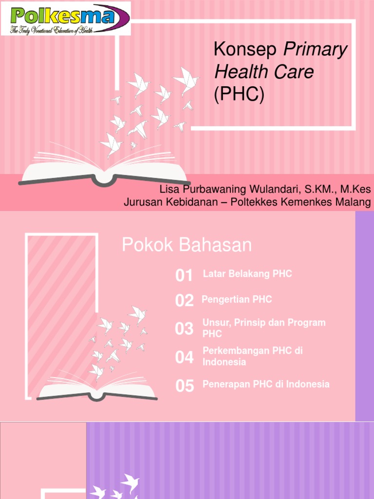 Konsep Primary (PHC) : Health Care | PDF