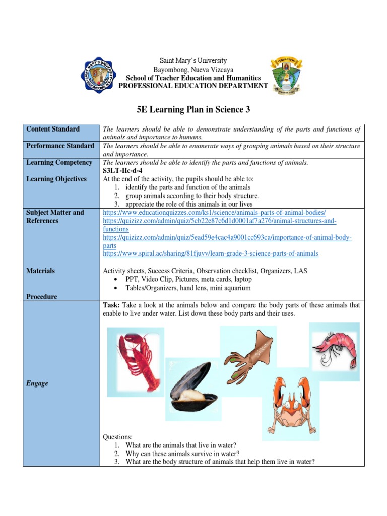 5E Learning Plan in Science 3: Engage | PDF | Turtle | Fish