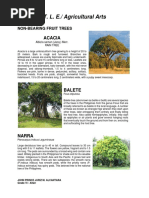 Narra Tree | PDF | Trees | Ecological Resilience