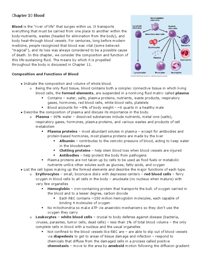 Chapter 10 Blood Anatomy | PDF | Blood Type | Coagulation