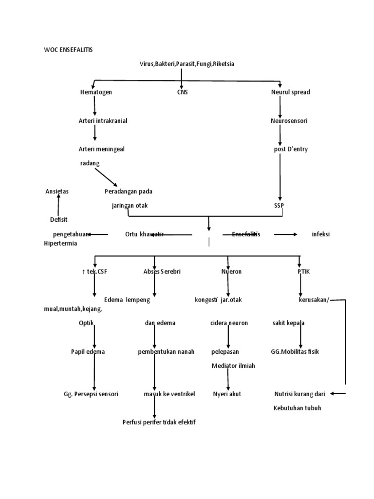 Woc Ensefalitis | PDF