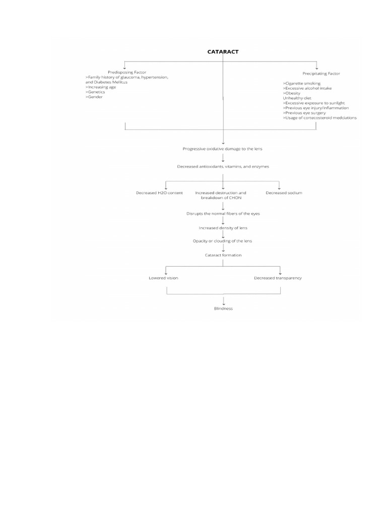 Cataract Pathophysiology | PDF