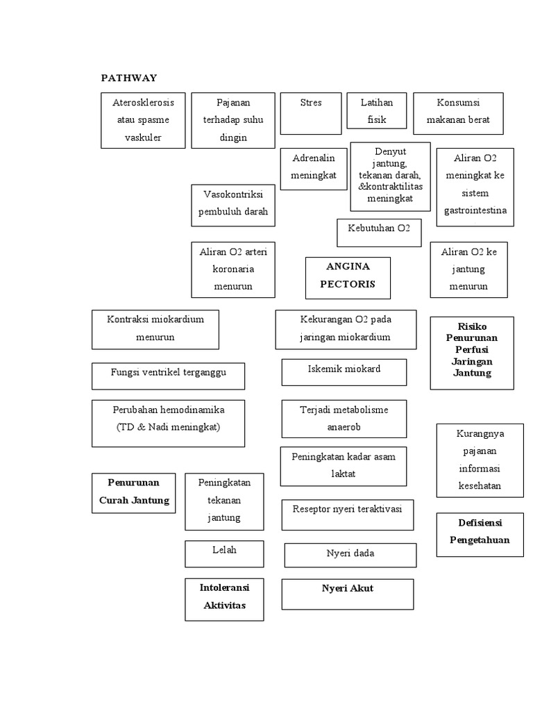 Pathway Angina Pectoris | PDF