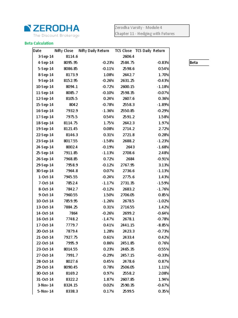 Beta Calculation | PDF