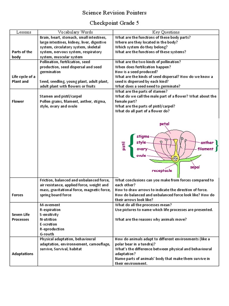 Science Revision Pointers Checkpoint Grade 5: Lessons Vocabulary Words ...