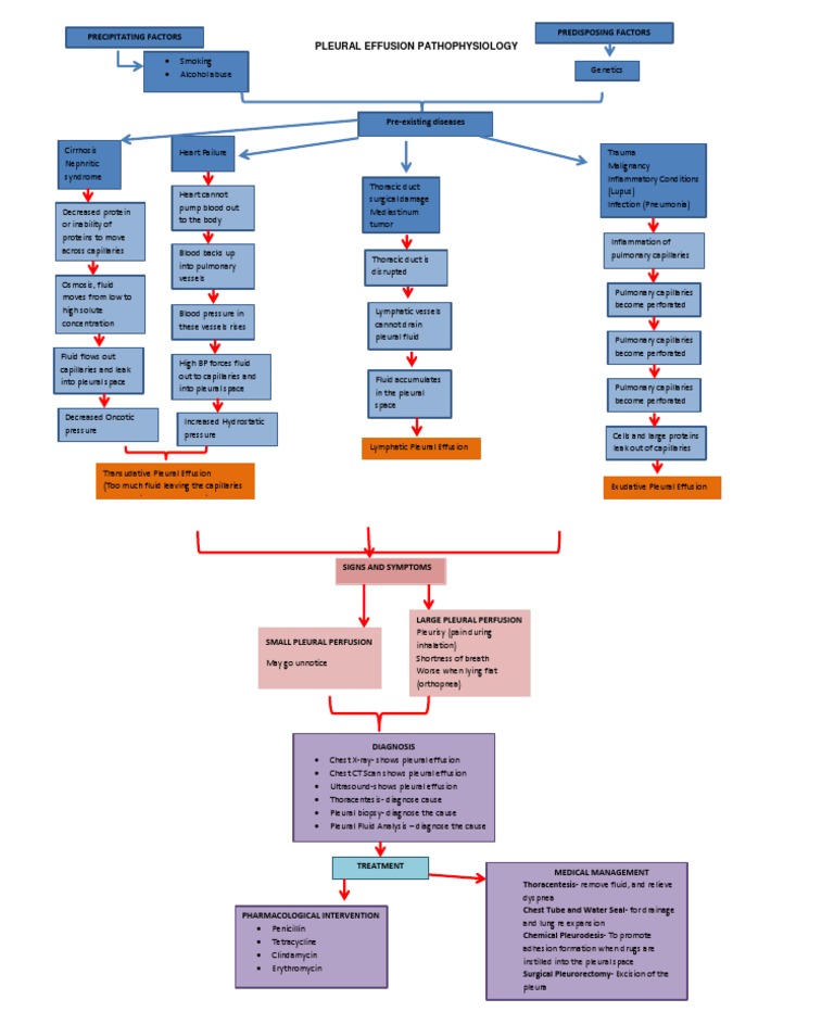 Pathophysiology Of Pleural Effusion Schematic Diagram Pleura