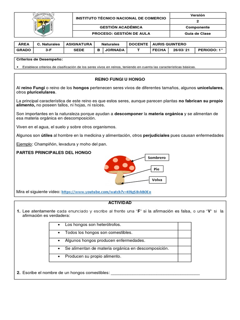 Reino Fungi | PDF | Hongo | Organismos