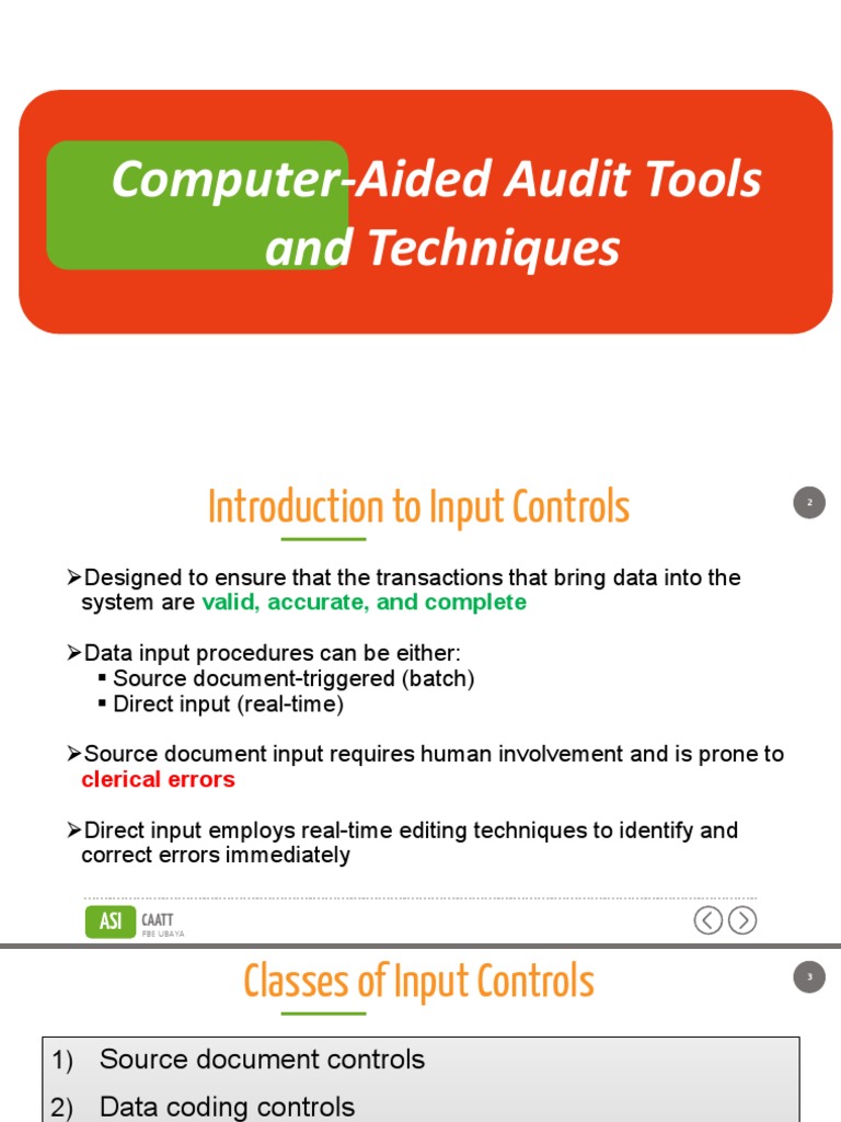 Audit Input Controls Guide | PDF | Audit | Simulation