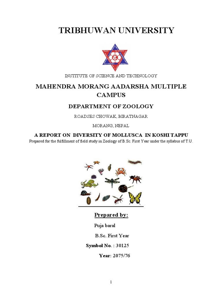 TU BSC 1st Year Zoology Report On Invert | PDF | Mollusca | Habitat