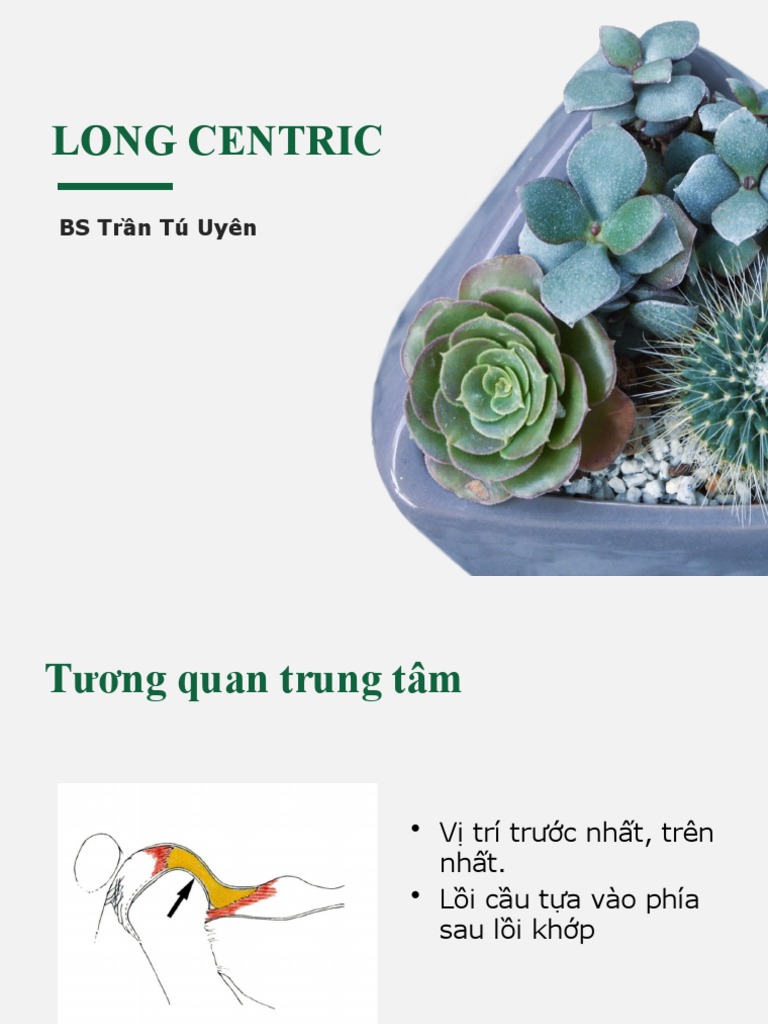 Long Centric | PDF