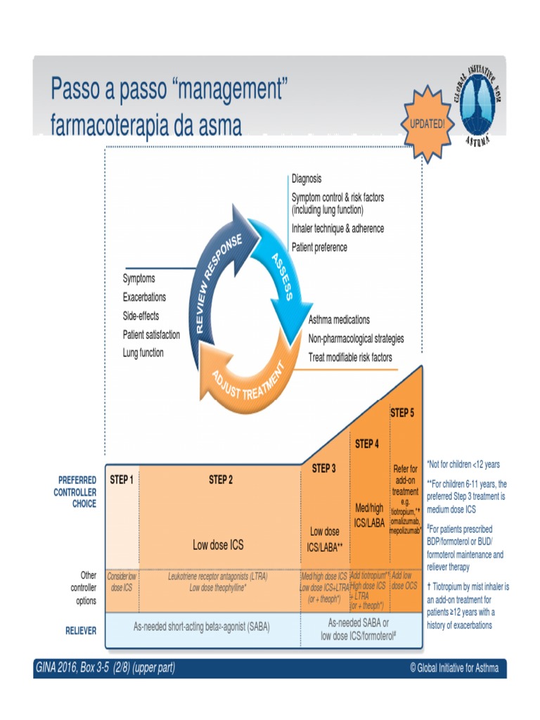 Passo A Passo "Management" Farmacoterapia Da Asma: Updated! | PDF ...