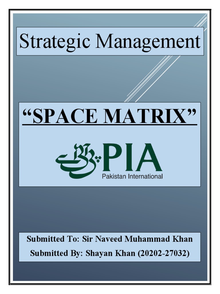 Shayan Khan (20202-27032) SPACE MATRIX-1 | Download Free PDF | Economies | Business