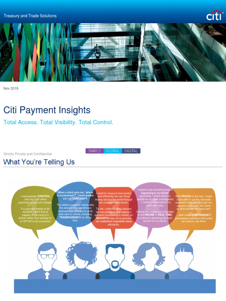 Citi Payments Insights Demo | PDF | Citigroup | Banks