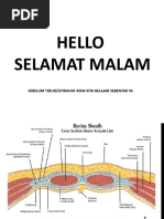 Anatomi dan Segmen Hepar Manusia | PDF