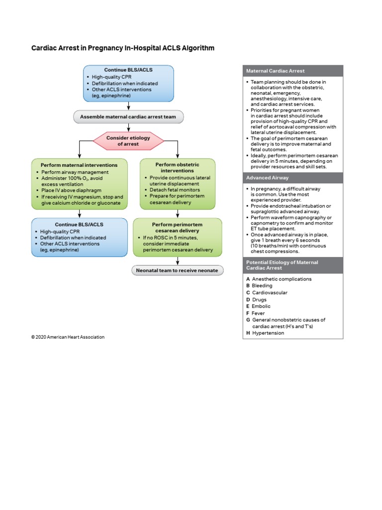 Algorithm-ACLS CA in Pregnancy In-Hospital 200612 | PDF | Cardiac ...