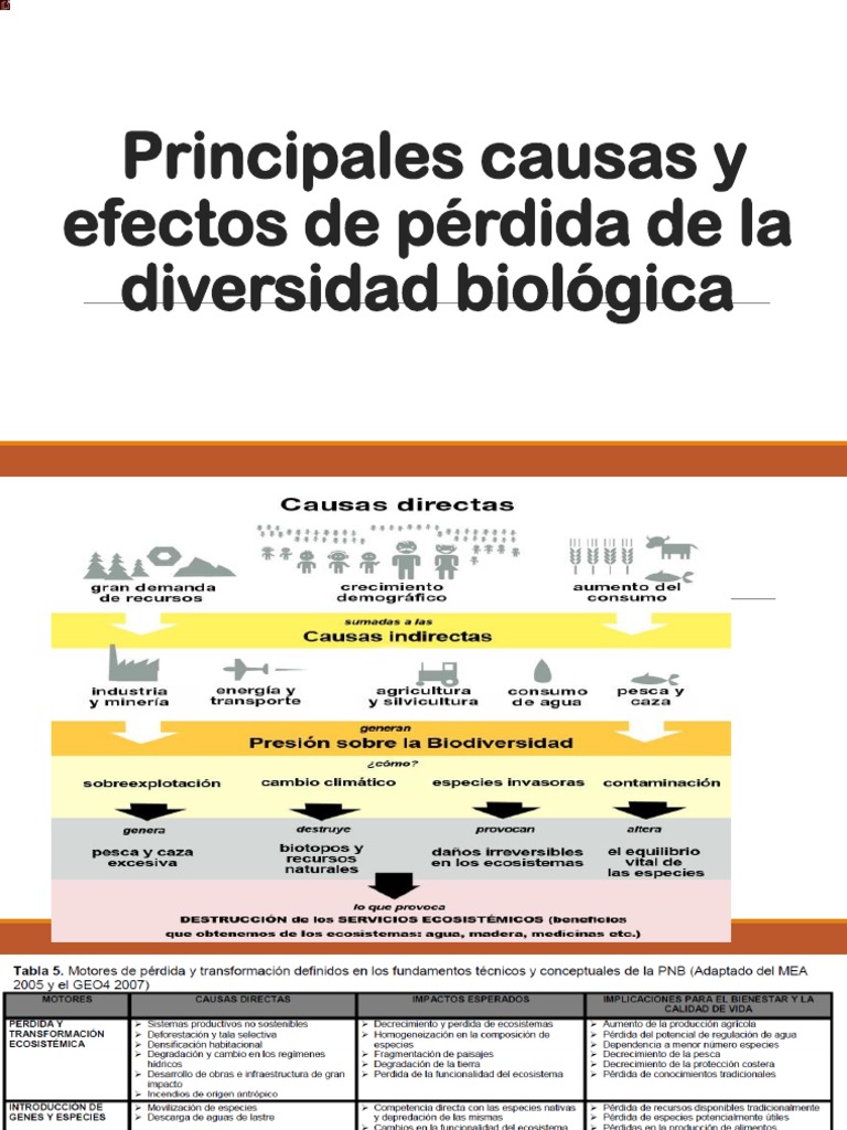 Principales Causas De Perdida De La Biodiversidad 2 Pdf Destrucción