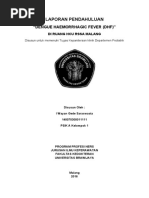 LP DSS Dengue Shock Syndrome Ruang Icu | PDF