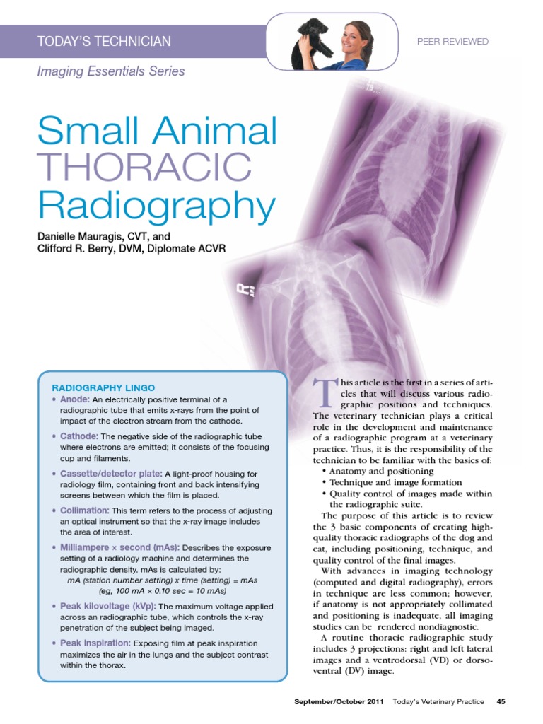 Canine Thoracic Radiography Techniques | PDF | Radiography | Thorax