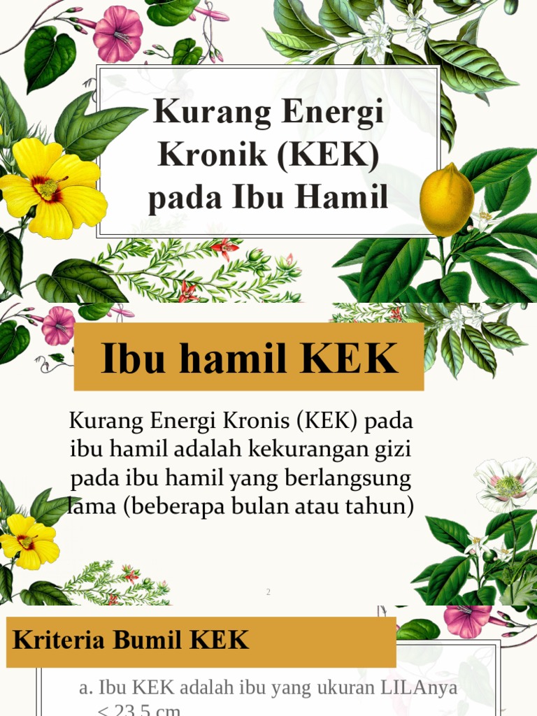 Bumil Kek | PDF