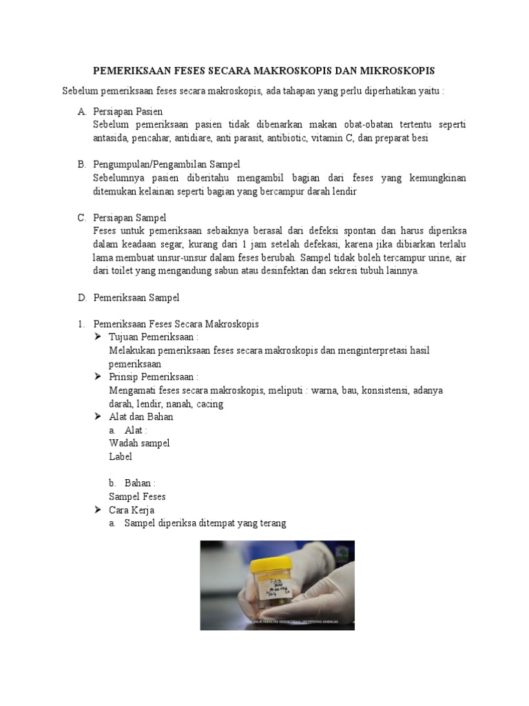 Pemeriksaan Feses 1 | PDF