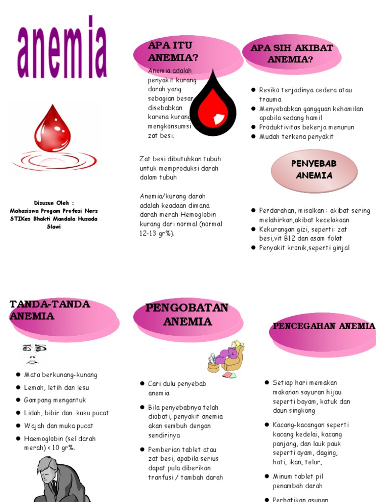 Leaflet Anemia | PDF