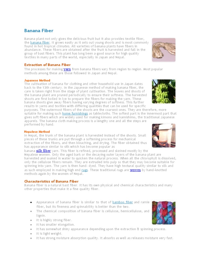 Extraction of Banana Fiber | PDF | Banana | Silk