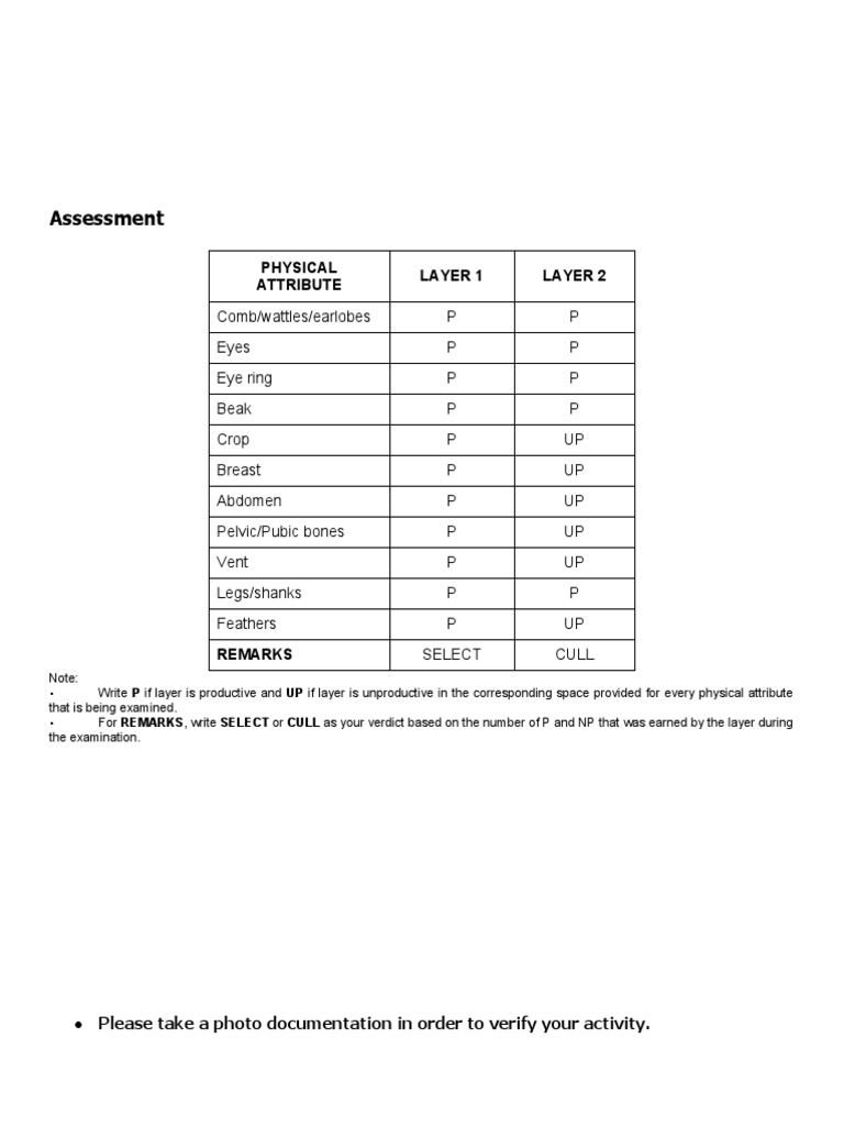 Assessment: Physical Attribute Layer 1 Layer 2 | PDF | Poultry Farming ...