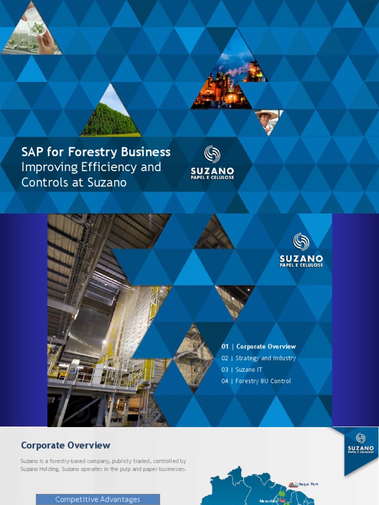 C3 SAP Solutions For Forestry Business | PDF | Forestry | Pulp (Paper)