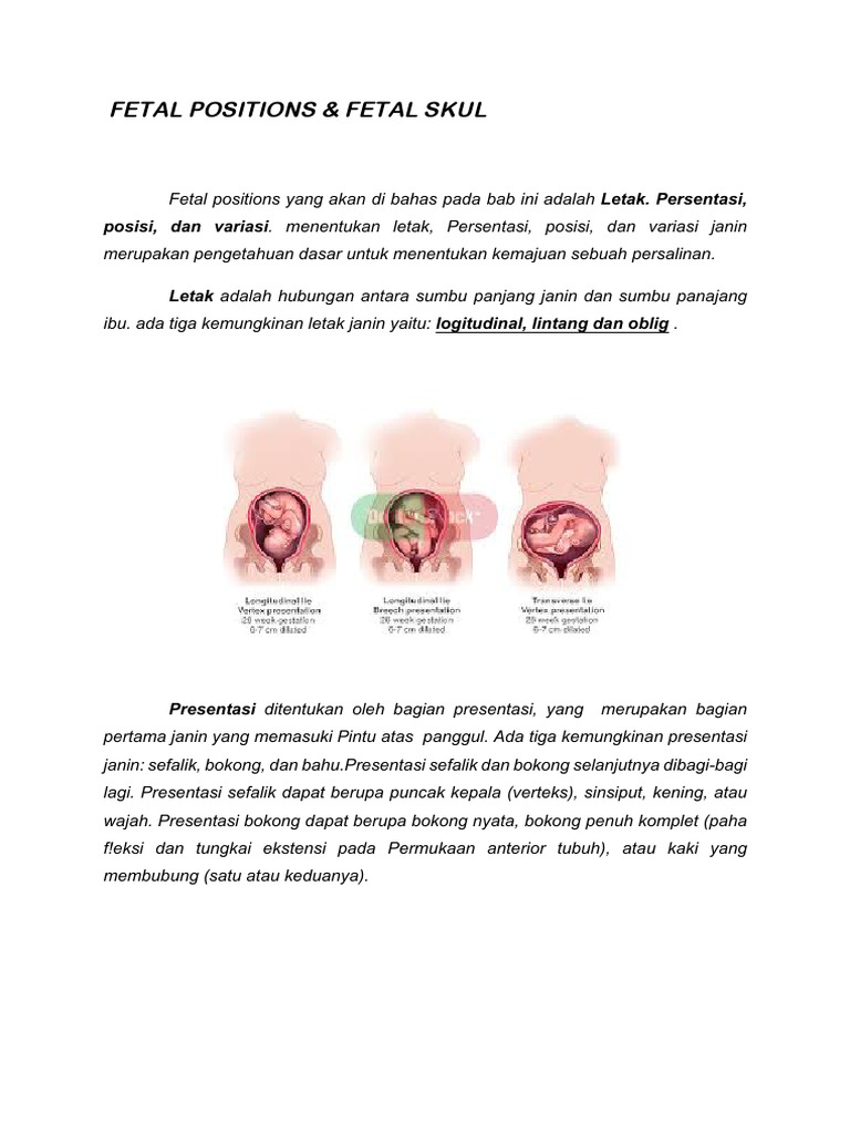 Fetal Positions-1 | PDF | Seni & Disiplin Bahasa