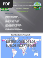 LITOSOLES | PDF | Suelo | Roca (geología)