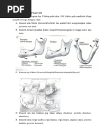 Interpretasi Hasil Foto Rontgen Anatomi Normal | PDF