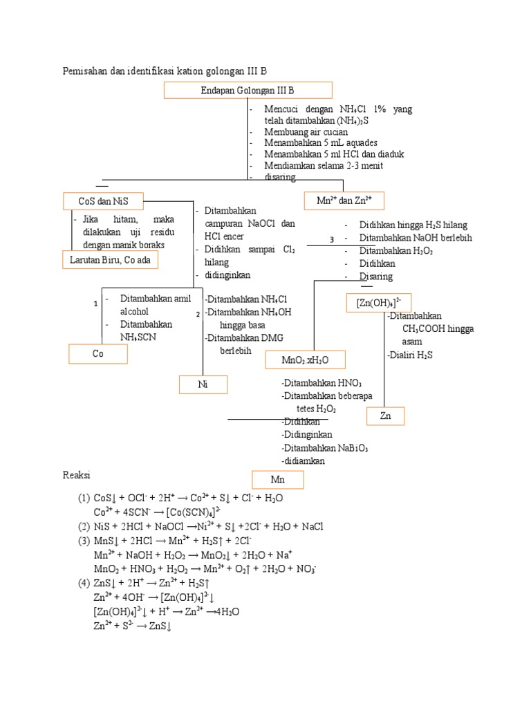 Pemisahan Dan Identifikasi Kation Golongan III B | PDF