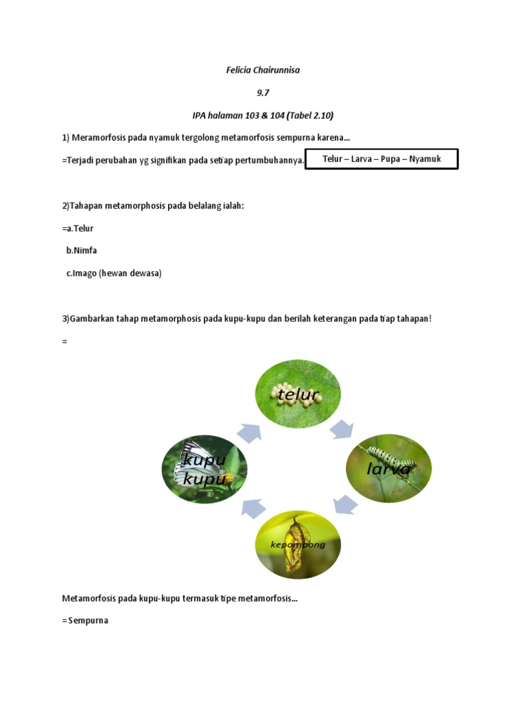 IPA Kleas 9 Hal 103 Dan 104 | PDF