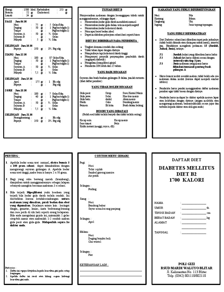 Diet DM - 1500 - B2 | PDF