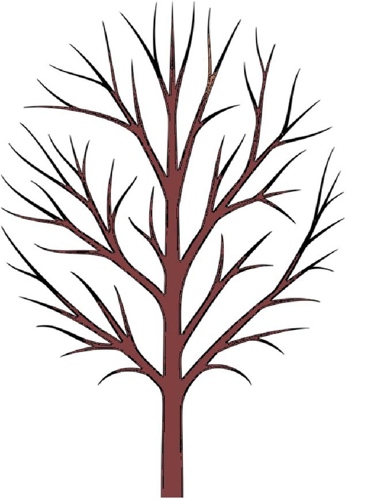 Copac de Colorat | PDF