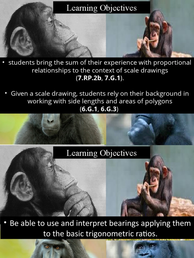 Grade 7 Learning Objectives | PDF